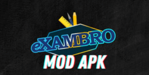 Aplikasi Exambro : Solusi Cerdas untuk Pendidikan Anda – eporter.id