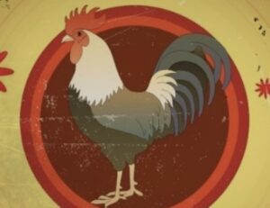 Kode Alam Ayam Jantan Beserta Angka Erek Erek 2D 3D 4D – eporter.id